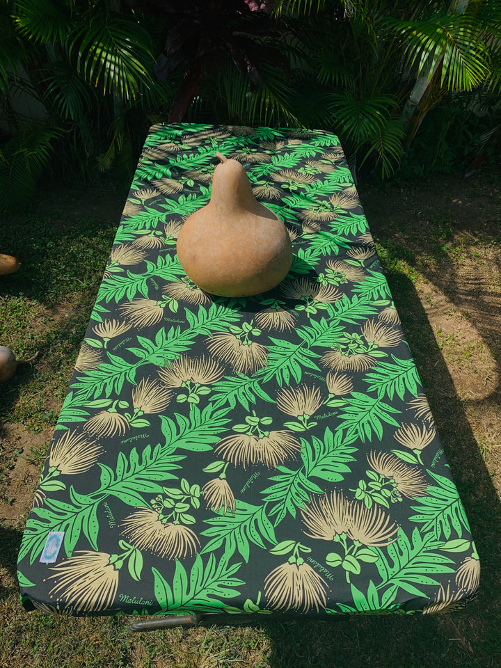 Products – Native Intelligence